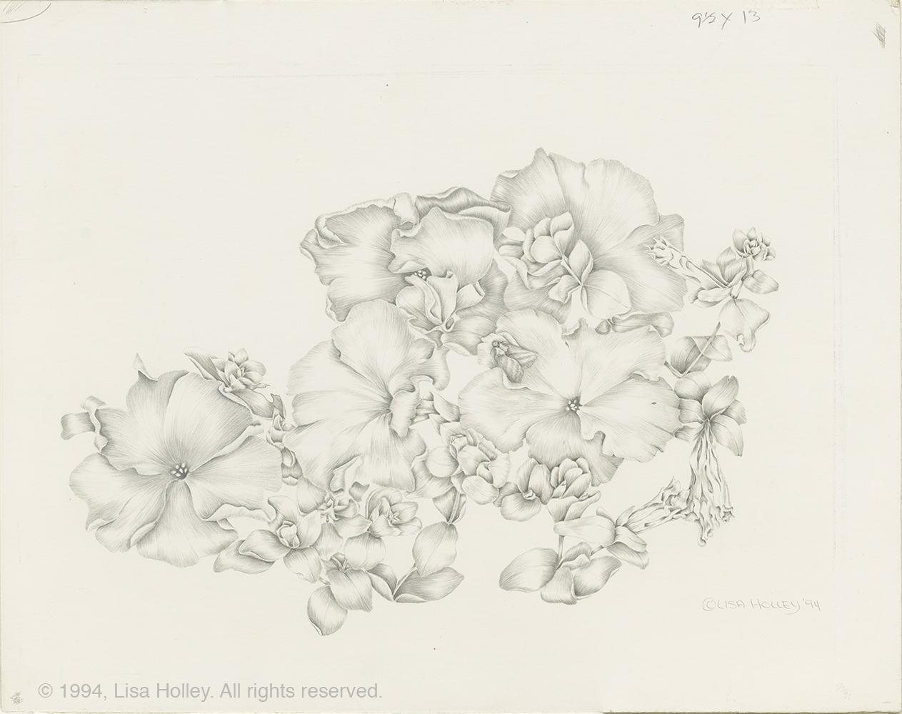 Catalogue of the International Exhibition of Botanical Art ...