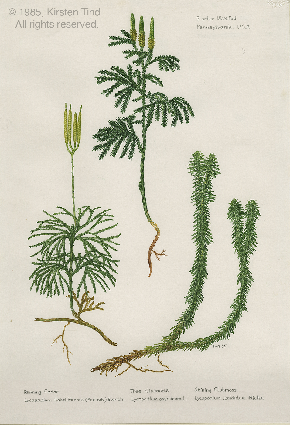 Catalogue of the International Exhibition of Botanical Art ...